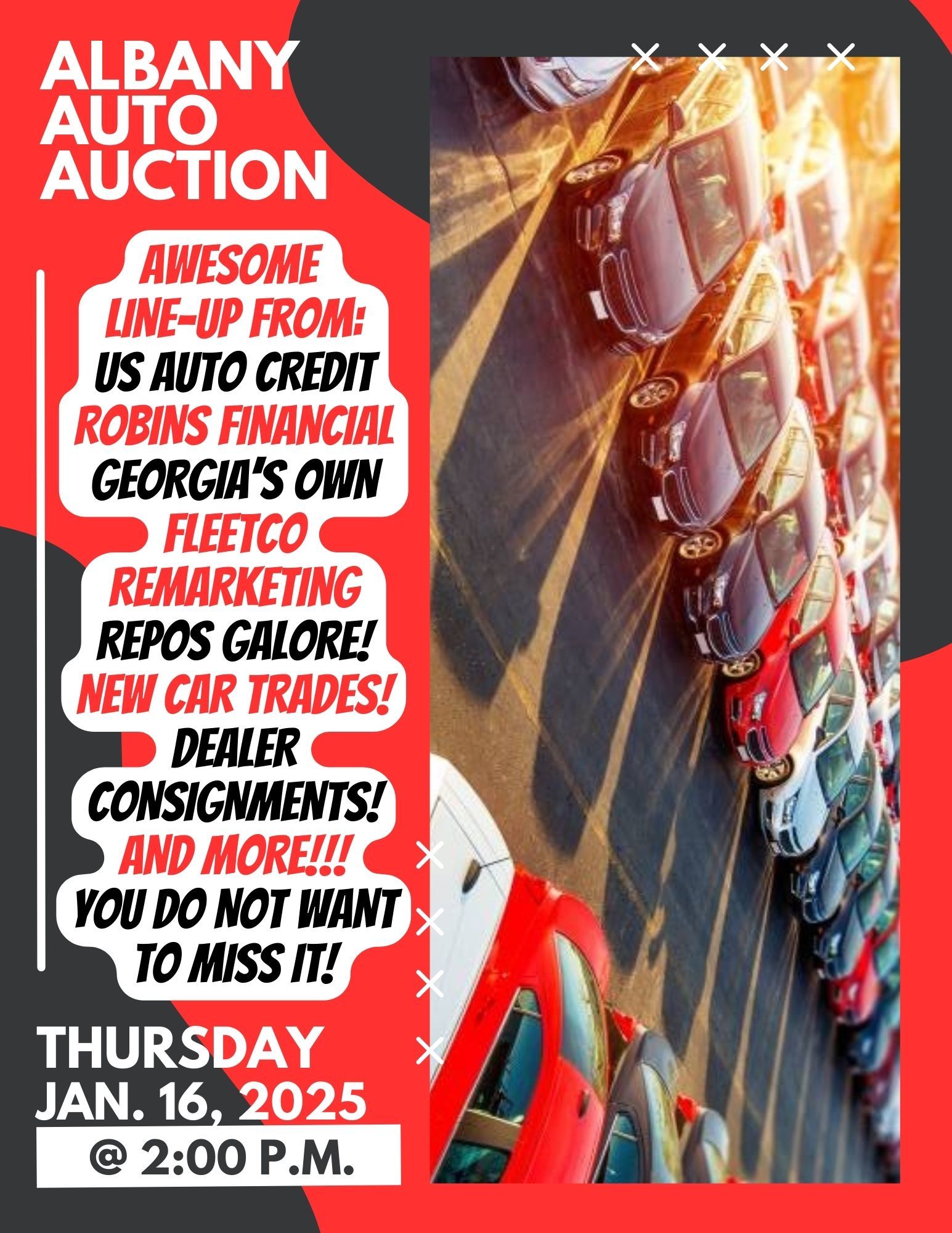 Albany Auto Auction
