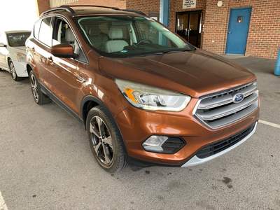 Mason Dixon Auto Auction