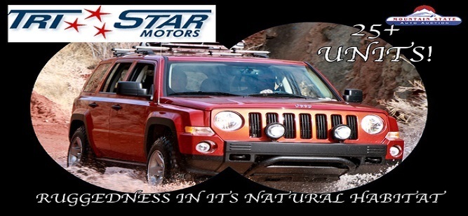 Mountain State Auto Auction